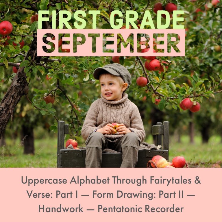 Waldorf 1st Grade Homeschool Curriculum - The BEarth Institute