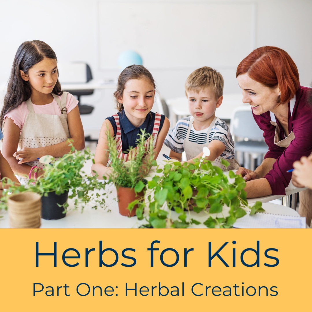 Herbs for Kids Part 1: Herbal Creations - Earthschooling
