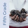 Buy Waldorf Curriculum Online & More - The BEarth Institute