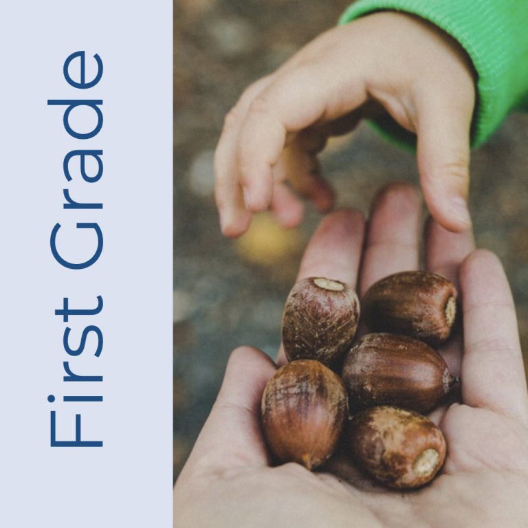 The First Provider of Online Waldorf Curriculum Since 1994 - The BEarth ...