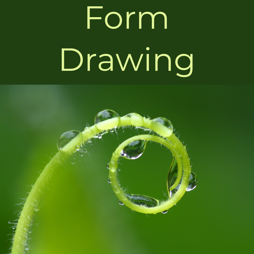 Waldorf Form Drawing Blocks - Earthschooling