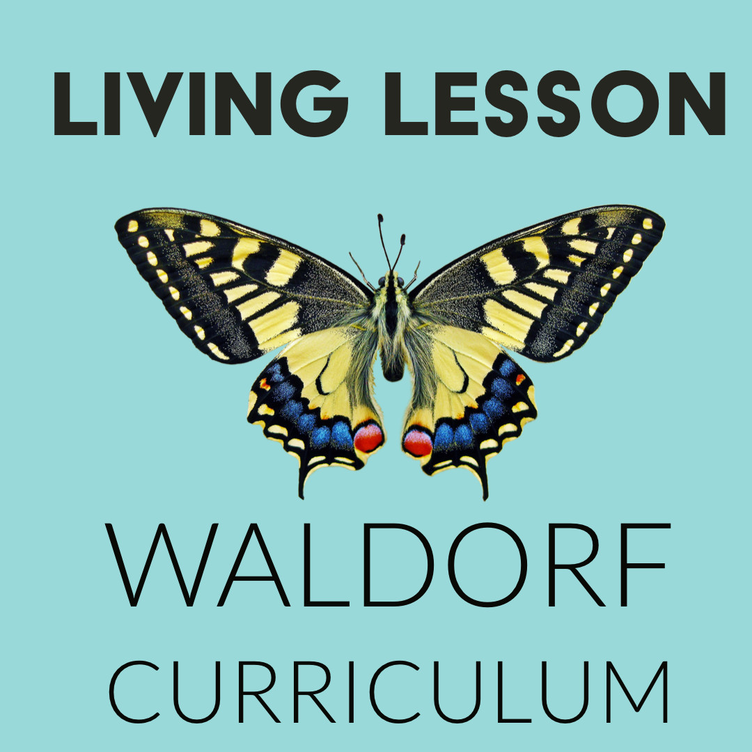 The First Provider of Online Waldorf Curriculum Since 1994 - The BEarth ...