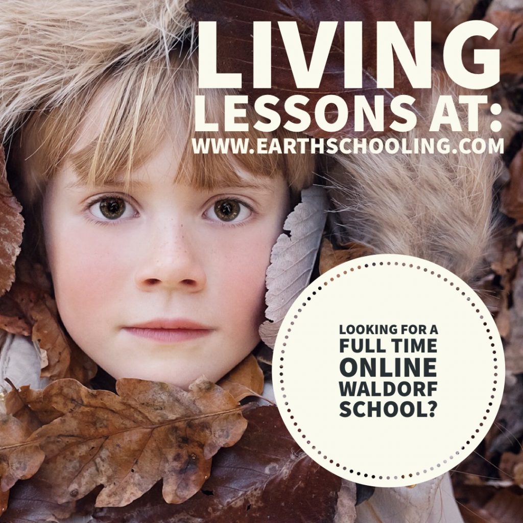 Free Curriculum Samples - The BEarth Institute