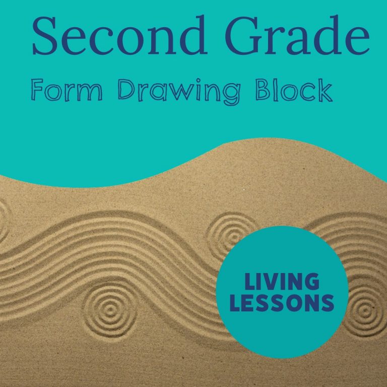 First Grade Form Drawing Block - First Grade, Form Drawing Blocks ...