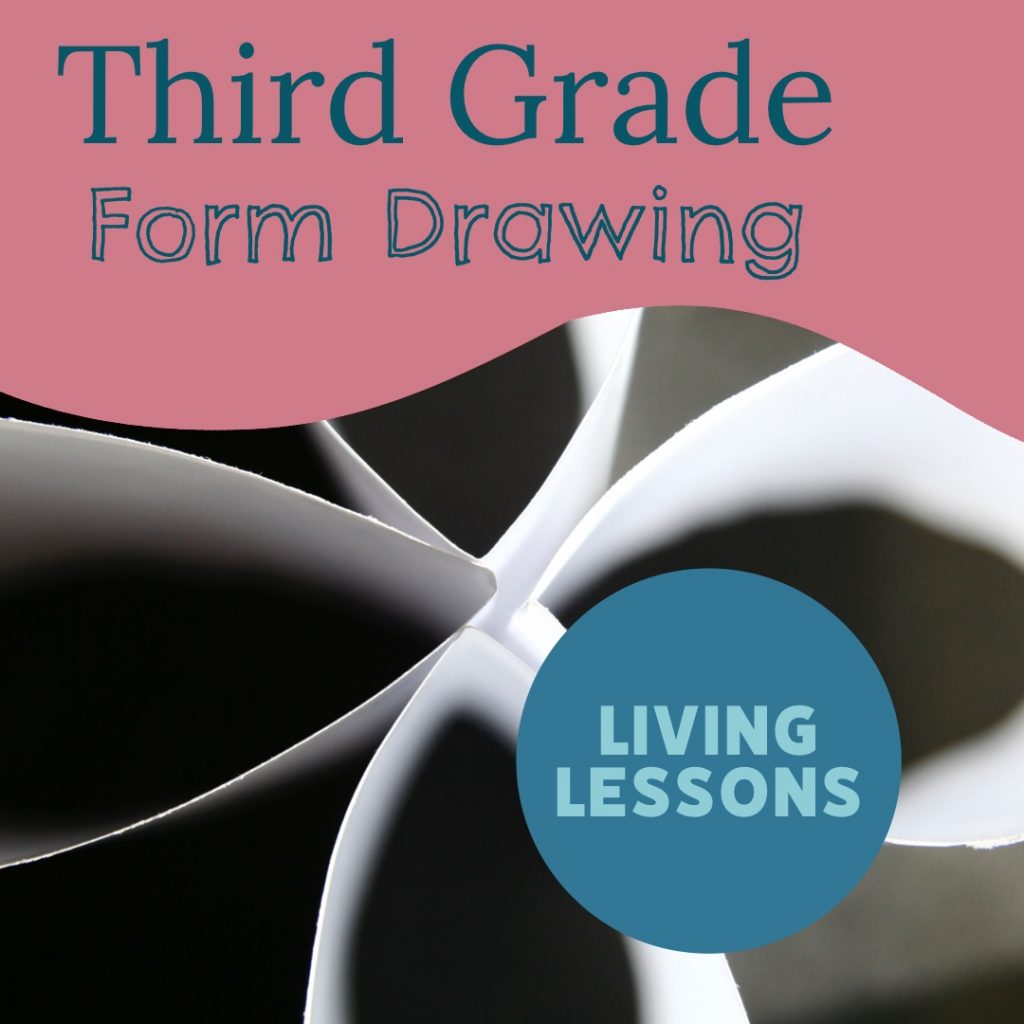 First Grade Form Drawing Block - First Grade, Form Drawing Blocks ...