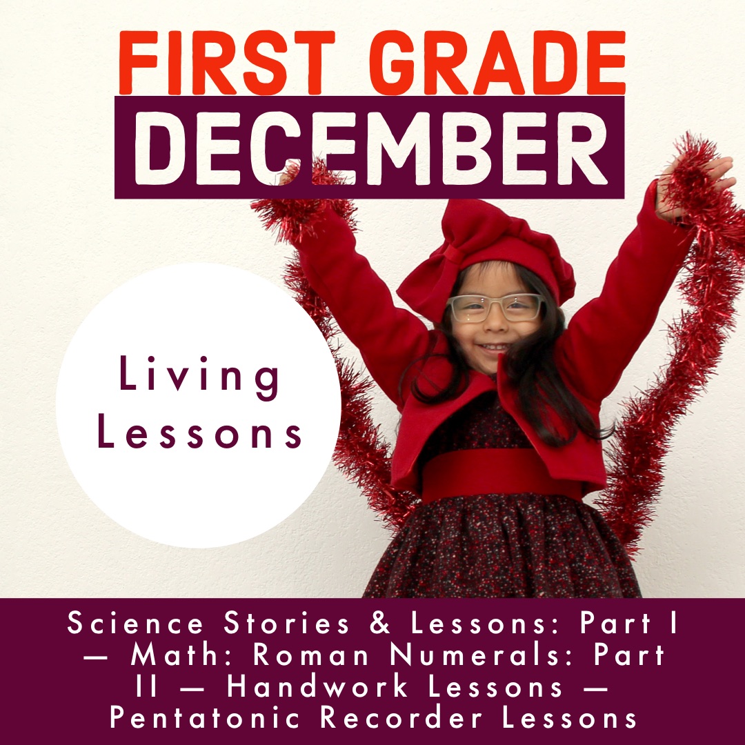 First Grade Living Lessons by the Planner/Month - Earthschooling