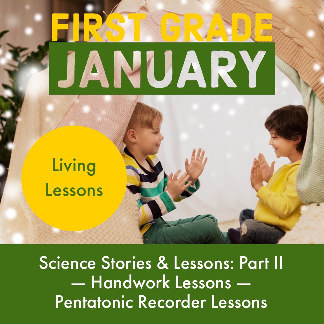 First Grade Living Lessons by the Planner/Month - Earthschooling