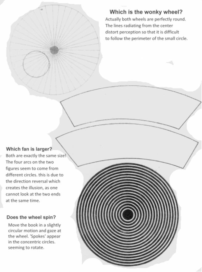 Archios: Optical Illusions and Numbers in 4th Grade - Earthschooling